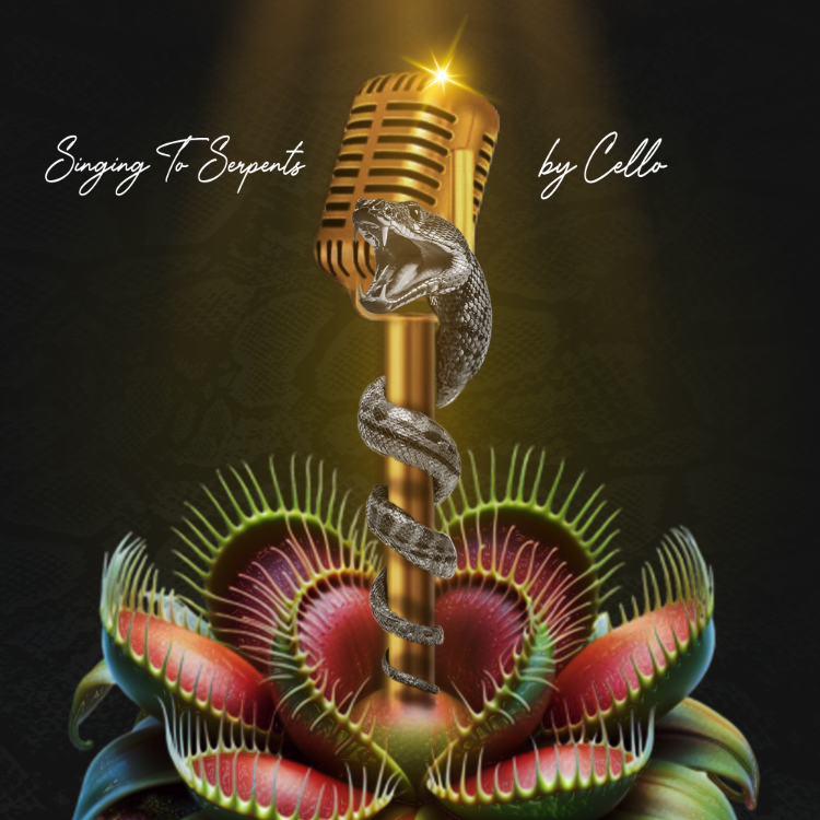 Cello’s “Stay Here” – A Modern Ballad of Restless Sentiment ...